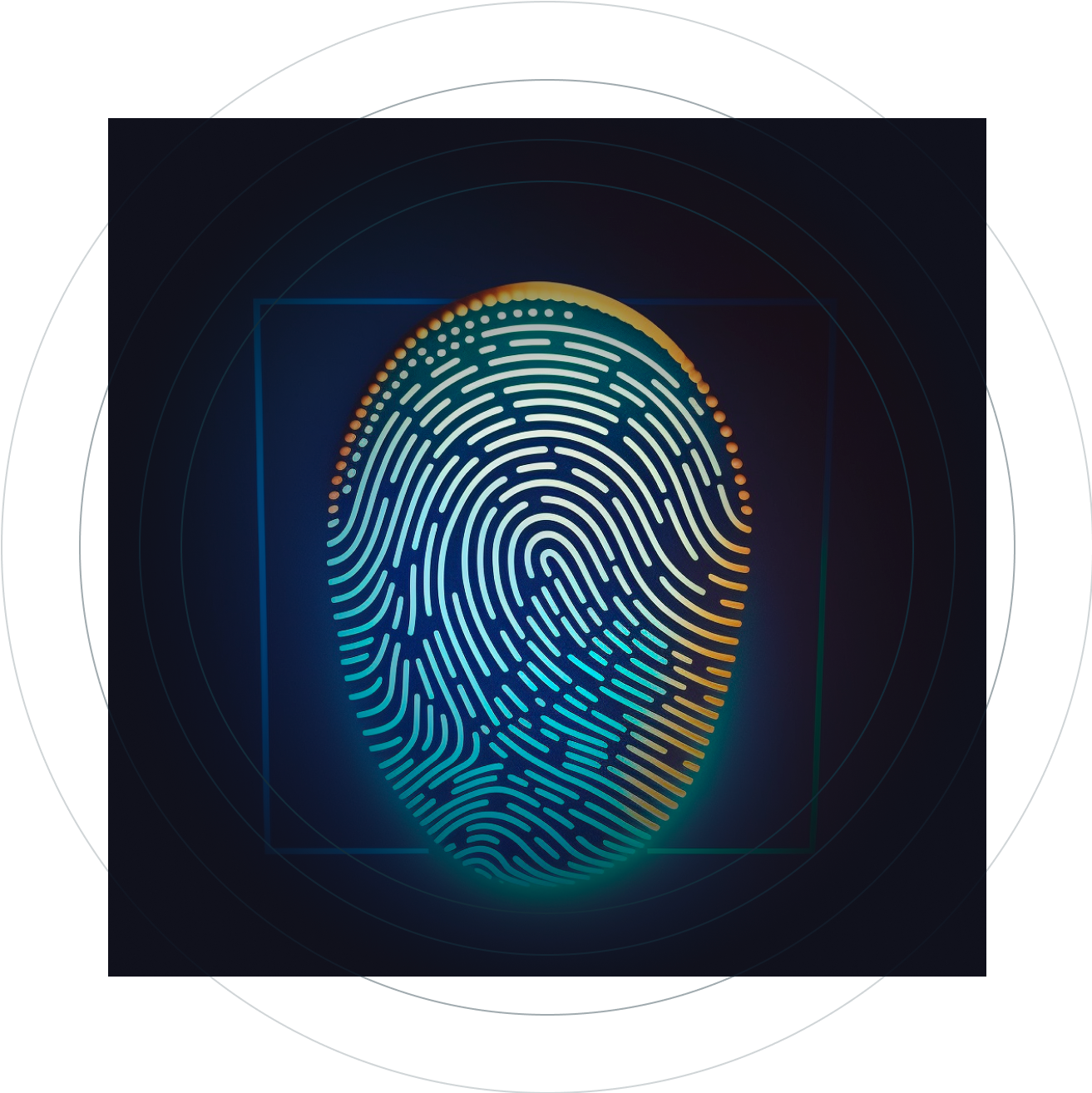 Browser Fingerprints and Aged Cookies for Anonymous Browsing | Xpass